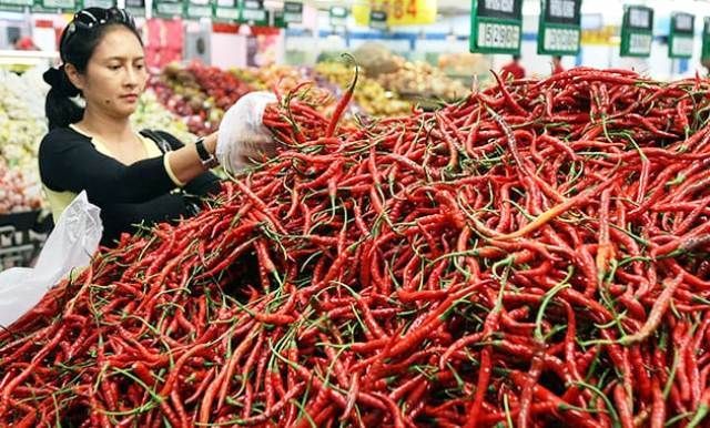 Deflasi Sumut Mei 2025: Cabai Merah Penyumbang Utama