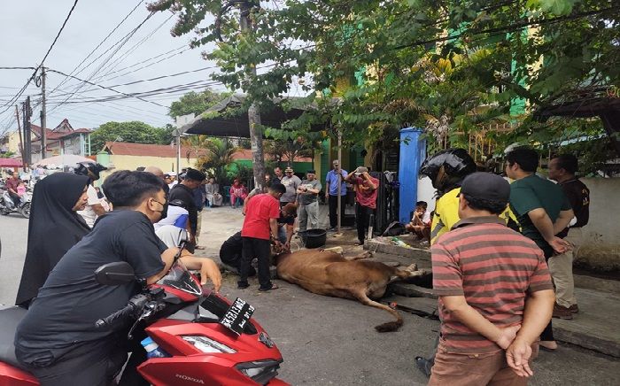 Wakil Wali Kota Herlina Tegaskan Nilai Pengorbanan Idul Adha di Pematangsiantar