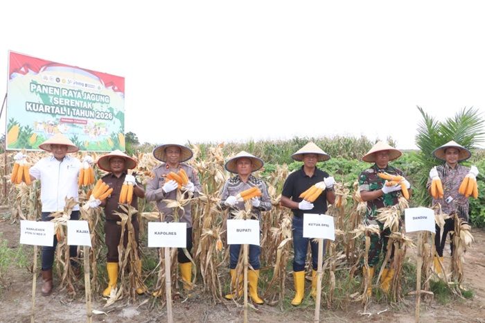 Panen Raya Jagung Kuartal I 2026, Simalungun Sumbang 12 Hektare untuk ...