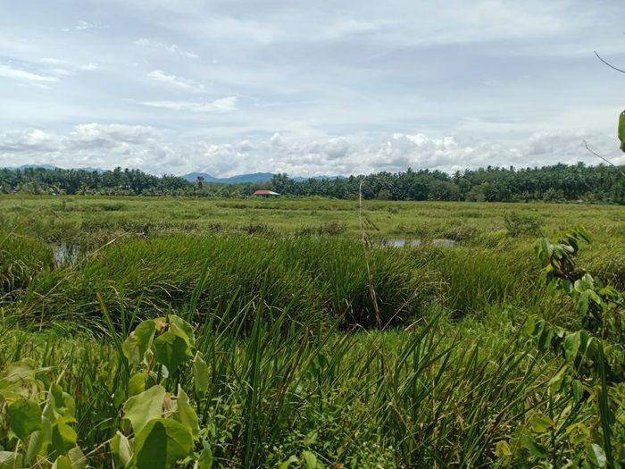 Danau di Desa Gunung Manaon, Paluta, Potensi Wisata Alam Menjanjikan