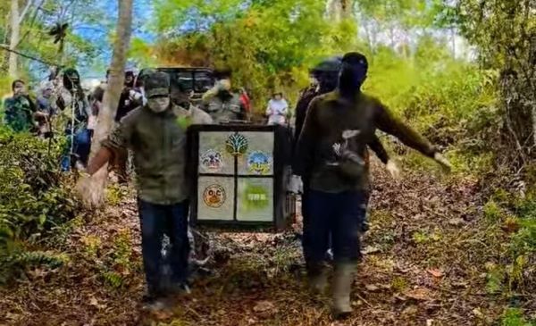 Lestarikan Primata Langka, BKSDA Sumut Lepasliarkan Tiga Siamang ke ...