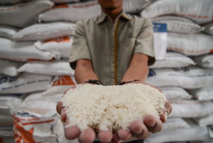 Harga Beras Naik di 191 Kabupaten/Kota, Papua Tembus Rp54 Ribu per Kg