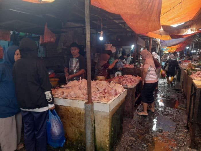 Harga Daging Ayam Masih Mahal, Pedagang: Sepi Pembeli