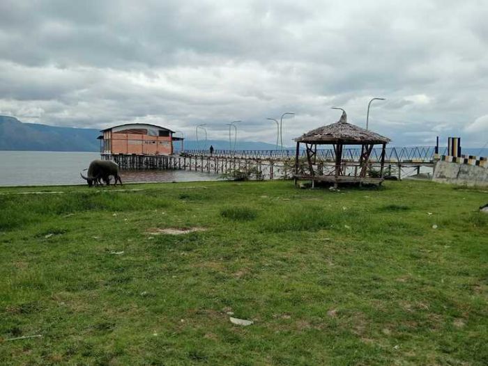 Dermaga Jetty Situngkir Samosir Terbengkalai, Kadis Budpar Bungkam