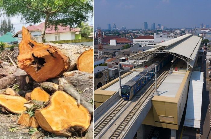 MRT Jakarta Terganggu Pohon Tumbang: Ini Fakta Sebenarnya dan Kapan ...