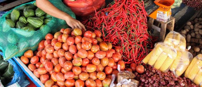 Harga Cabai Merah di Medan Utara Tidak Stabil Akibat Musim Hujan