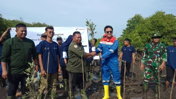 Peringati Hari Mangrove Sedunia, Pertamina Tanam Seribu Pohon di Langkat