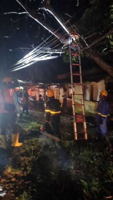 Pohon Tumbang Timpa Jaringan Kabel, Aliran Listrik di Sibolga dan Tapteng Padam