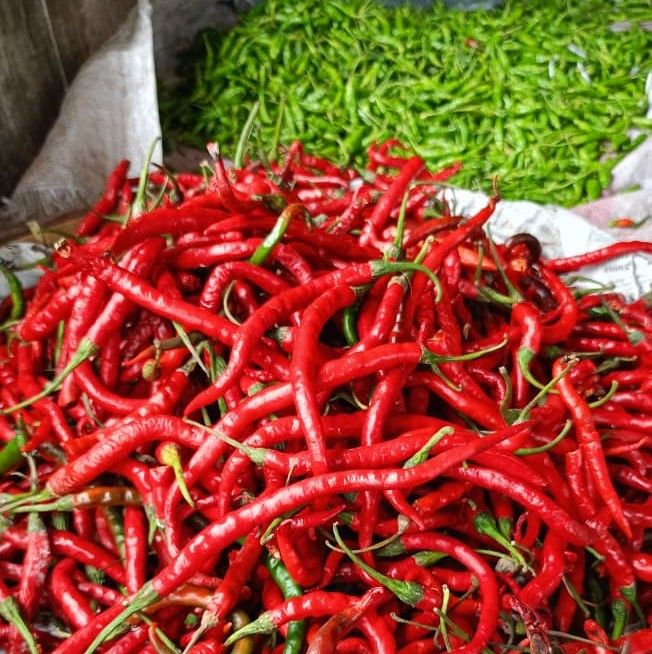 Harga Cabai Merah di Langkat Rp80.000 per Kilogram