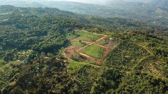 Badan Bank Tanah Targetkan Kuasai 175.000 Hektare Tanah pada 2025