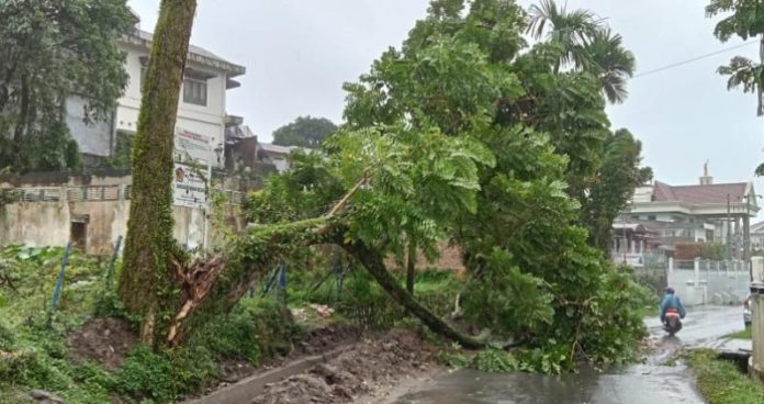 BMKG: Waspadai Potensi Hujan dan Angin di Sebagian Wilayah Indonesia