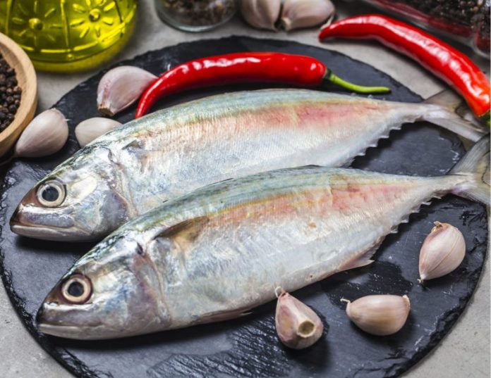 Cegah Stunting, Dinas Kelautan dan Perikanan Kampanyekan Gemar Makan Ikan