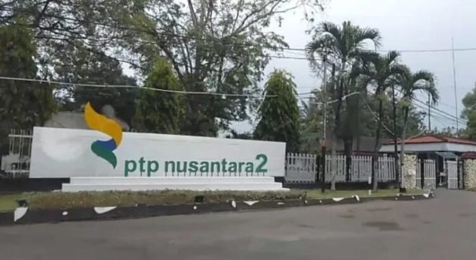 Diduga Gunakan Grant Sultan Palsu, PTPN1 Regional 1 Adukan Yusnita ke ...