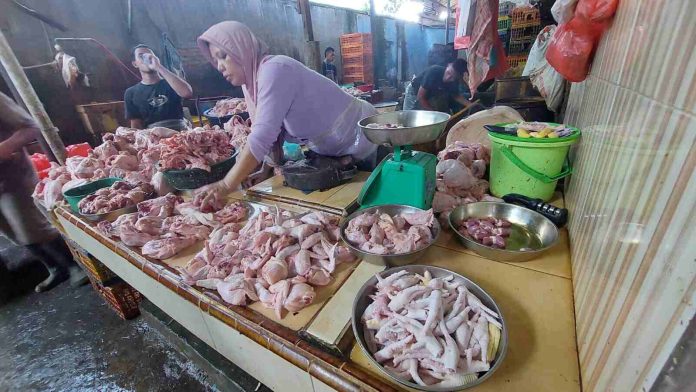 Harga Ayam Potong di Medan Turun, Pedagang: Sudah Rp30 Ribu per Kg