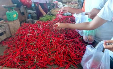 Harga Cabai Merah Naik Tipis, Bawang Berfluktuasi