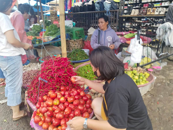 Harga Tomat Meroket di Siantar, Tembus Rp20.000/Kg Harga Tomat Meroket di Siantar, Tembus Rp20.000/Kg