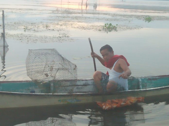 Ikan Tayu-tayu Resahkan Nelayan Danau Toba