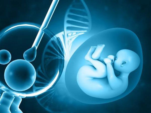 Ilmuwan Berhasil Buat Model Embrio Manusia Tanpa Sperma