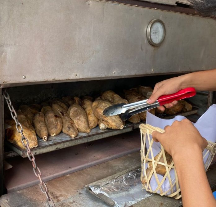 Ini Manfaat Ubi Cilembu Bagi Kesehatan Tubuh Ini Manfaat Ubi Cilembu Bagi Kesehatan Tubuh