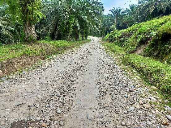 Jalan Alternatif Simpang Raya Ke Danau Toba Minta Diperbaiki