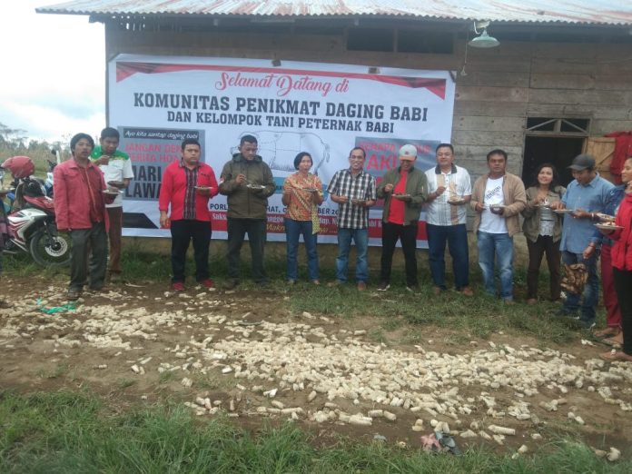 Komunitas Penikmat Daging Babi Virus Hog Cholera Tidak Berdampak pada ...