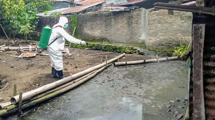 Mengenal Gejala Virus Hog Cholera