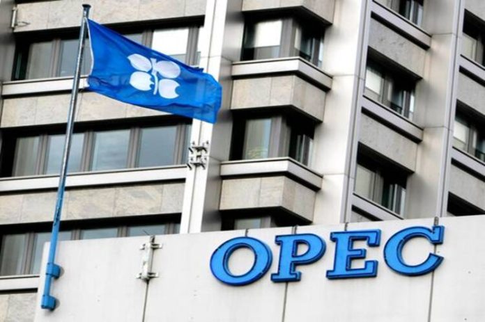 OPEC 3 Kali Revisi Prediksi Pertumbuhan Permintaan Minyak Dunia 2024-2025