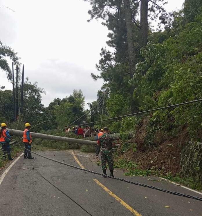 Pohon dan Tiang Listrik Tumbang di Jalur Siantar-Parapat