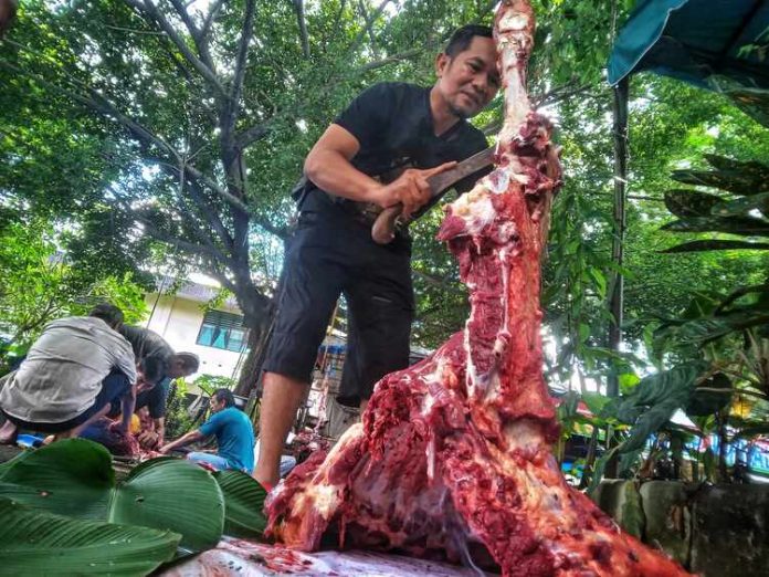 Proses Pemotongan Daging Hewan Kurban di Medan