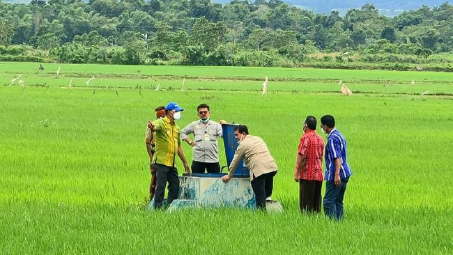 Proyek Food Estate Gagal dan Ditemukan Banyak Data Palsu, DPR Bentuk Pansus