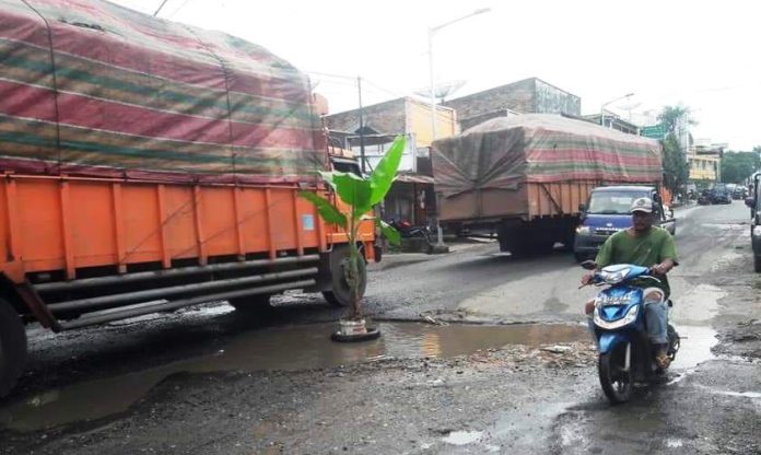 Rusak dan Berlubang, Jalan Justin Sihombing Ditanami Pohon Pisang