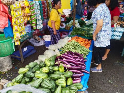 Sayur Mayur di Pasar Tradisional Dwikora Bertahan Mahal