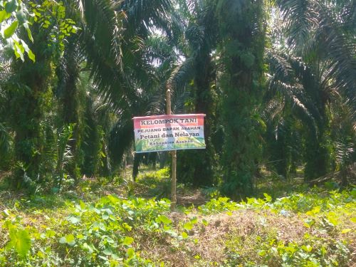 Sejumlah Plang di Lahan Eks HGU PT BSP Kisaran Buat Warga Resah