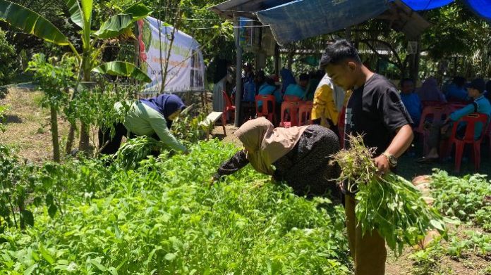 Sektor Pertanian dan Kehutanan Serap Tenaga Kerja Terbanyak di Sumut