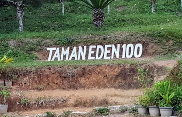 Taman Eden 100 Pilihan Tepat Bagi Pecinta Wisata Alam Saat Liburan Nataru
