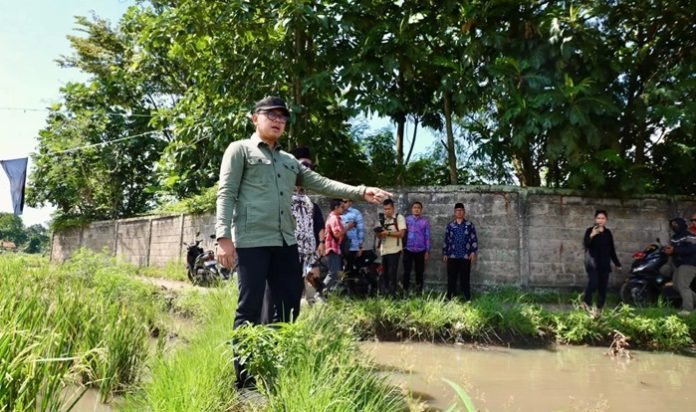 Tinjau Kawasan Irigasi, Wamendagri Ingatkan Gubernur, Bupati dan Wali Kota
