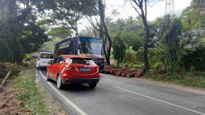 Truk Muatan Kayu Pinus Terguling di Jalan Siantar-Parapat