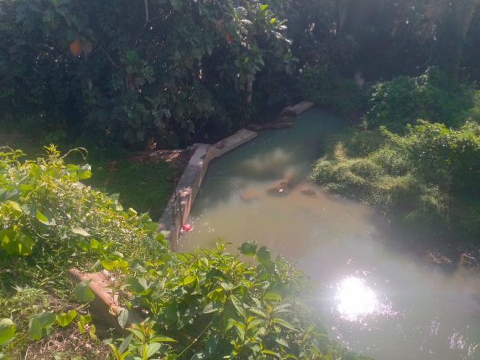 Saluran Irigasi Ditembok di Nagori Karanganyer, Ratusan Hektare Lahan ... Saluran Irigasi Ditembok di Nagori Karanganyer, Ratusan Hektare Lahan ...